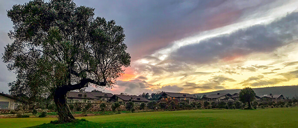 Visit Bodrum - Regnum Golf & Country Club - Sports & Golf